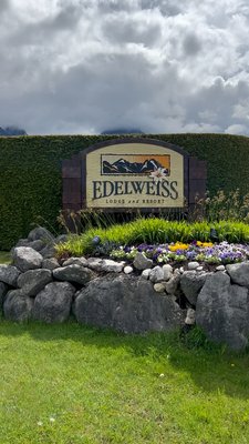 EDELWEISS LODGE AND RESORT US HOTEL - Updated January 2025 - 137 Photos ...