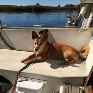 THE NORWICH SPA AT FOXWOODS - Updated June 2025 - 30 Photos & 56 ...