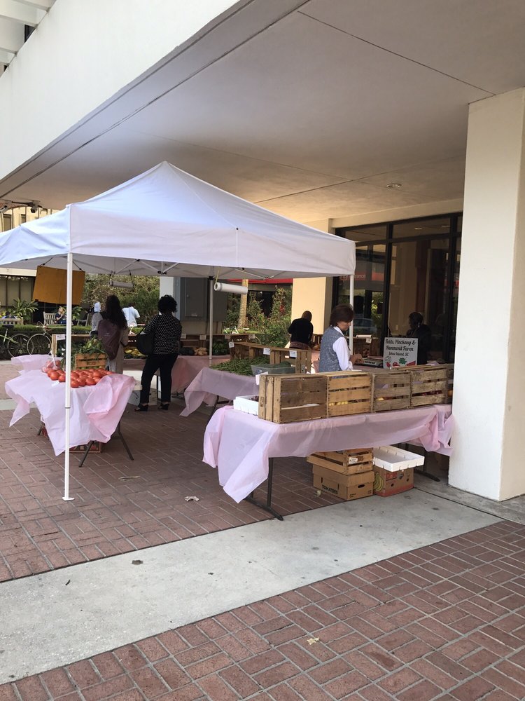 MUSC CAFETERIA - Updated October 2025 - 16 Photos - 165 Ashley Ave ...