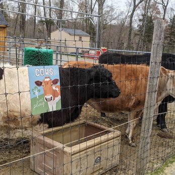 UNITY FARM SANCTUARY - Updated December 2025 - 17 Unity Ln, Sherborn ...