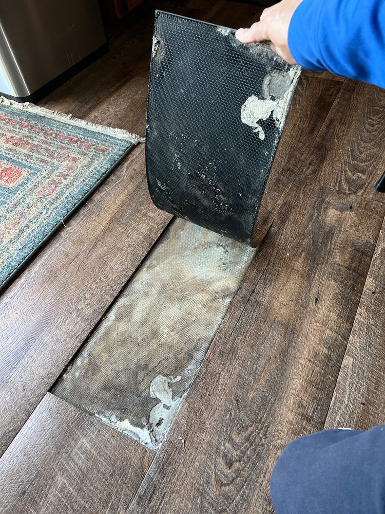 CARPET CAVE - Updated October 2025 - 11 Photos & 23 Reviews - 2929 F St ...