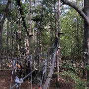 THE ADVENTURE PARK AT VIRGINIA AQUARIUM - 439 Photos & 155 Reviews ...