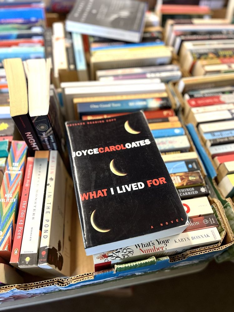 WOODSTOCK PUBLIC LIBRARY DISTRICT - Updated June 2024 - 5 Library Ln ...