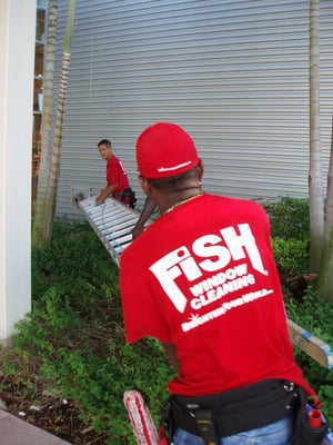 FISH WINDOW CLEANING - Updated October 2025 - 1600 NW Boca Raton Blvd ...