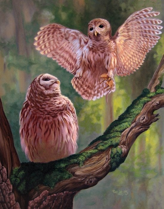 FOXFIRE STUDIO - Updated December 2025 - 44Q Dover Point Office Park ...