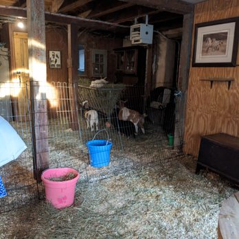 ROSE BRIDGE FARM & SANCTUARY - Updated June 2025 - 226 Photos & 81 ...