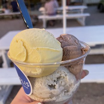 MANOLIS ICE CREAM, POPS, SORBET & MORE - Updated June 2024 - 464 Photos ...