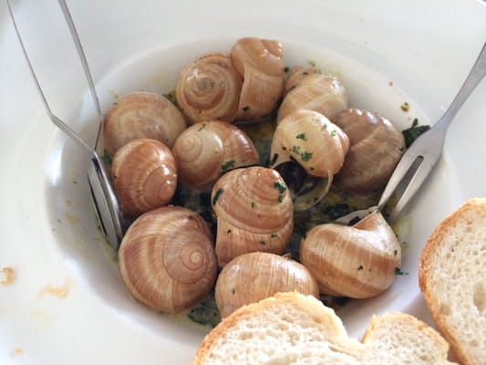 THE LITTLE SNAIL RESTAURANT - 115 Photos & 32 Reviews - 50 Murray St ...