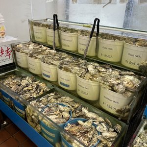 SUN FAT SEAFOOD COMPANY - 239 Photos & 393 Reviews - 2687 Mission St ...