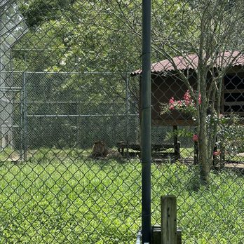 CATTY SHACK RANCH WILDLIFE SANCTUARY - Updated January 2026 - 714 ...