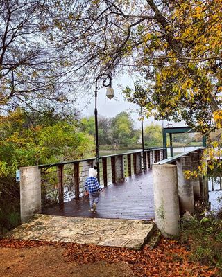 MILLS POND - 152 Photos & 48 Reviews - Parks - 15108 Wells Port Dr ...