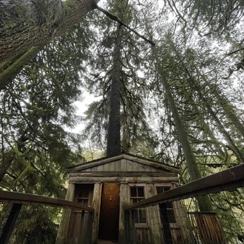 TREEHOUSE POINT - Updated December 2025 - 288 Photos & 118 Reviews ...