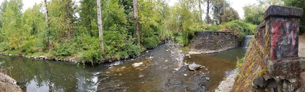 SPRINGWATER CORRIDOR - 26 Photos & 37 Reviews - SE Ivon St And Boring ...