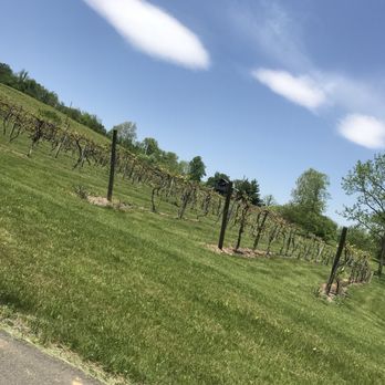 OTIUM CELLARS - Updated April 2024 - 126 Photos & 130 Reviews - 18050 ...