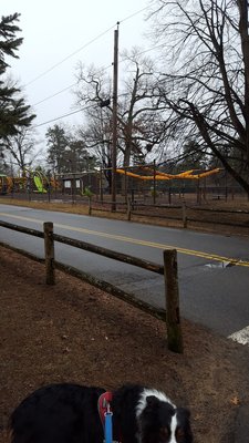 COOK PARK - Updated September 2025 - Shambrook Pkwy, Colonie, New York ...