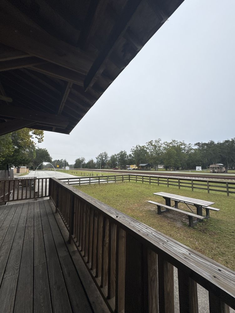 FOLKSTON FUNNEL TRAIN WATCHING PLATFORM - Updated March 2026 - 19 ...