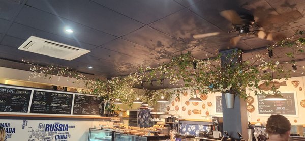 CLARK POINT CAFE - 11 Photos - 4 Clark Point Rd, Southwest Harbor ...