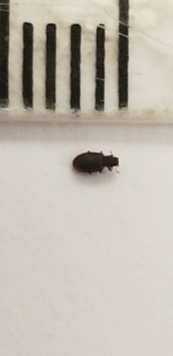 MARINA PEST CONTROL - Updated December 2025 - 22 Photos & 109 Reviews ...