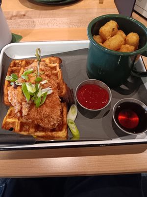 OLD YALE BREWING - Updated January 2026 - 12 Photos - 33738 Laurel ...