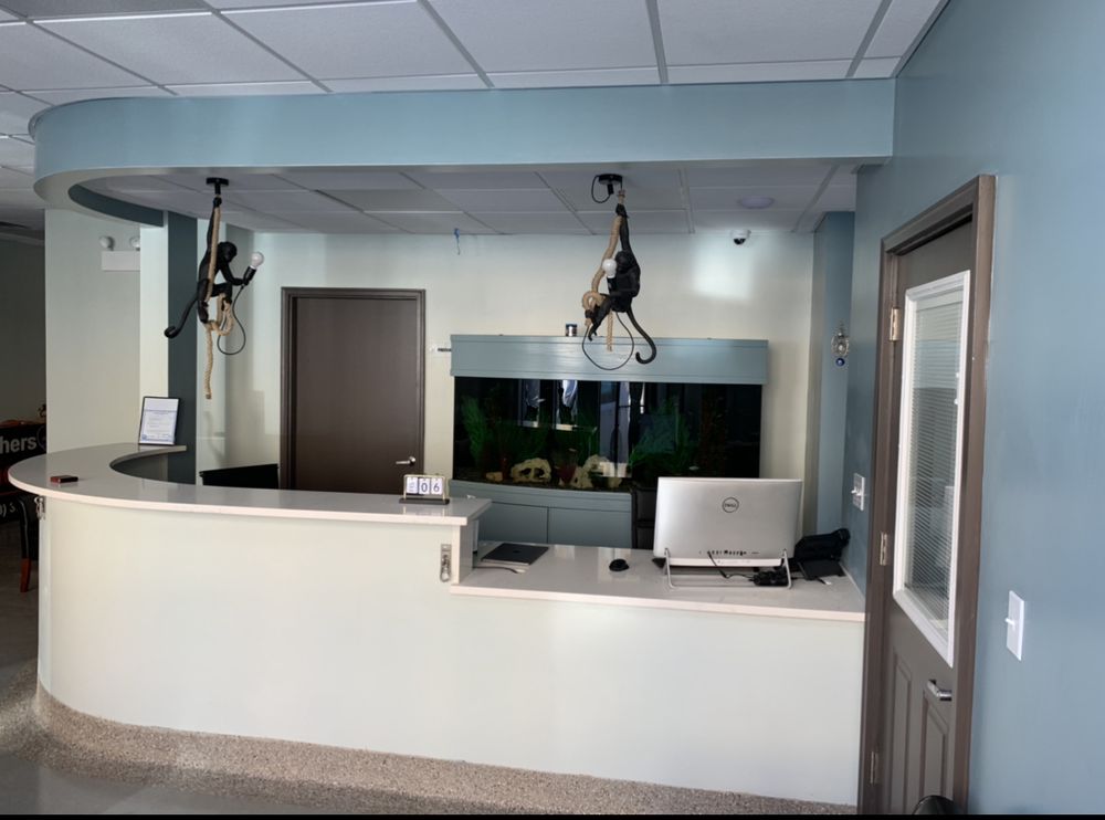 PAWS AND FEATHERS EMERGENCY HOSPITAL - Updated June 2026 - 18 Photos ...