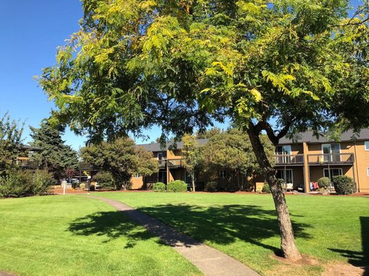 PACIFIC VILLAGE APTS - Updated September 2025 - 14 Photos & 17 Reviews ...