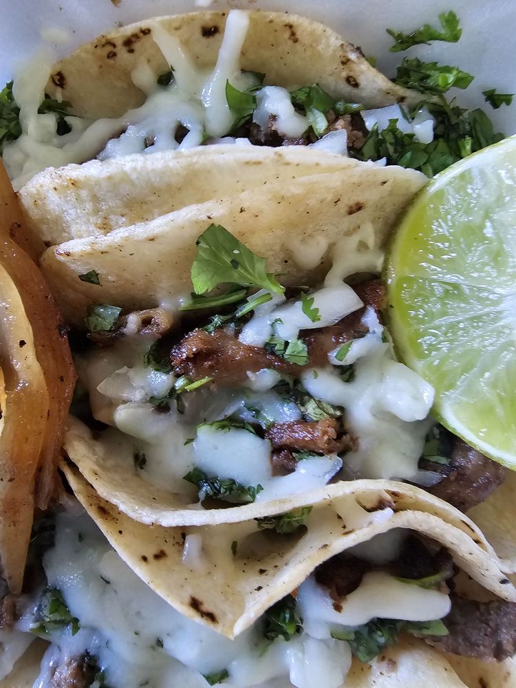 DELICIOSO TACO TRUCK - Updated December 2024 - 12 Photos & 10 Reviews ...