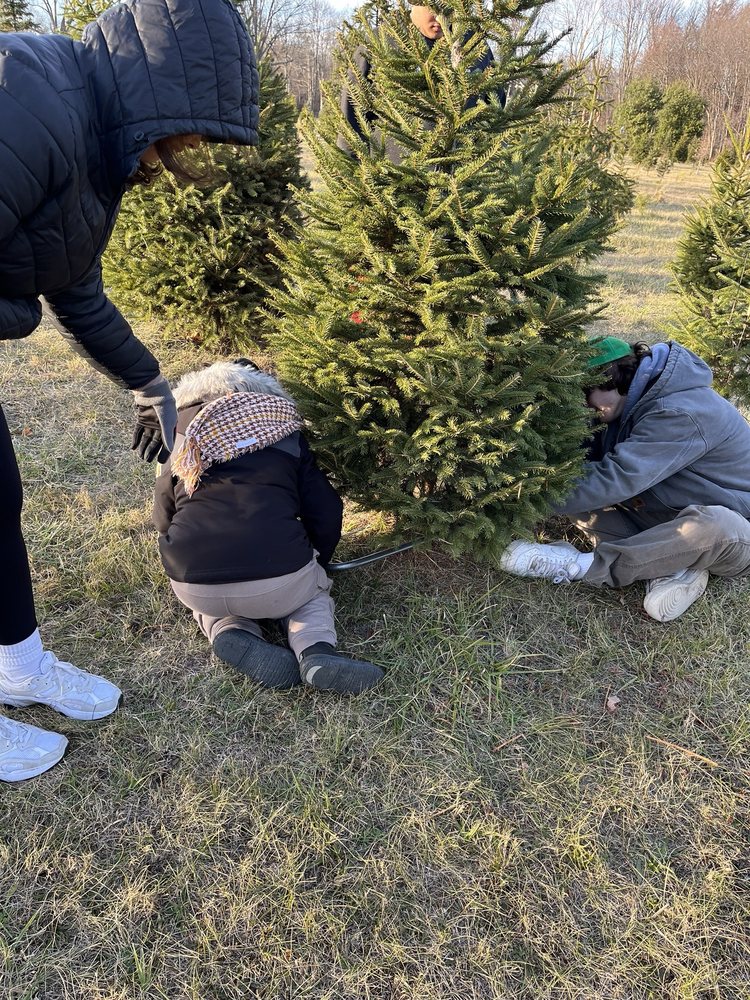 WATSON TREE FARM - Updated December 2025 - 2477 County Line Rd ...