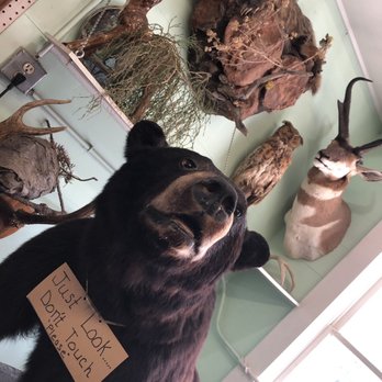 DALE STORE - Updated December 2025 - 13 Photos - 48388 Hwy 395 N, Ukiah ...