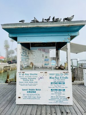 SHELL KEY SHUTTLE - Updated January 2025 - 81 Photos & 39 Reviews - 801 ...