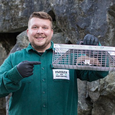 PARKER ECO PEST CONTROL - Updated December 2025 - 87 Photos & 212 ...