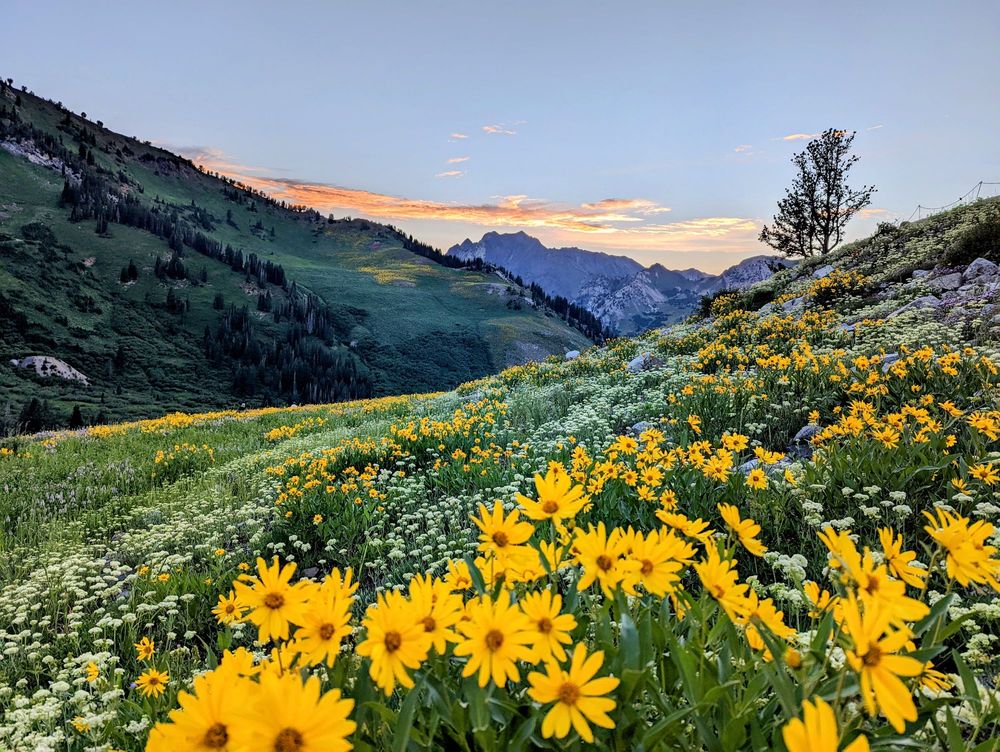 CECRET LAKE - Updated October 2025 - 117 Photos & 24 Reviews - 8595 ...