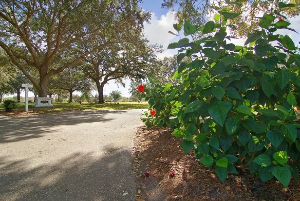 ROBERT TOALE AND SONS FUNERAL HOME AT PALMS MEMORIAL PARK - Updated ...