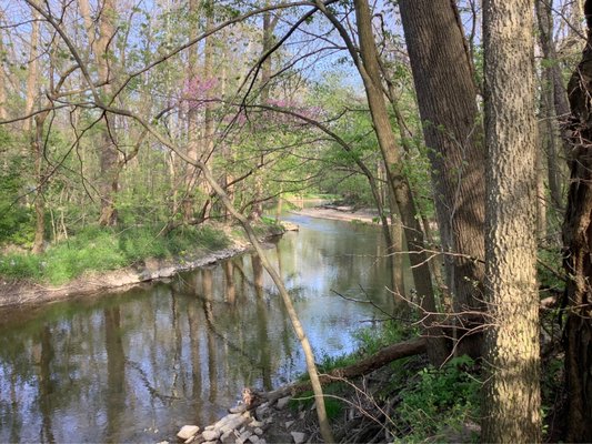 FERRETTIE/BAUGO CREEK COUNTY PARK - Updated December 2025 - 12 Photos ...