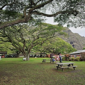 KUALOA RANCH - 11173 Photos & 4955 Reviews - 49-560 Kamehameha Hwy ...