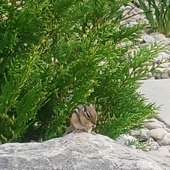 LAKE GEORGE R V PARK - Updated January 2026 - 56 Photos & 34 Reviews ...