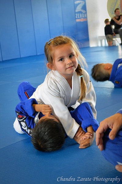GRACIE HUMAITA LA MESA BRAZILIAN JIU JITSU - Updated March 2025 - 30 ...