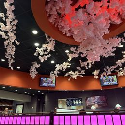 SUSHI NAMI - Updated August 2025 - 413 Photos & 116 Reviews - 3131 ...