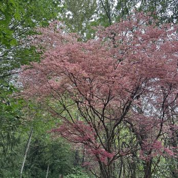 NORTH CREEK TRAIL - Updated October 2025 - 37 Photos - 19909 120th Ave ...