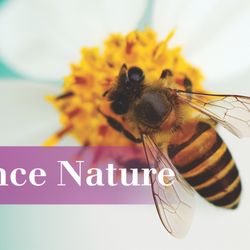 BRIAN STONE, MD - 2655 Camino Del Rio N, San Diego, CA - Yelp