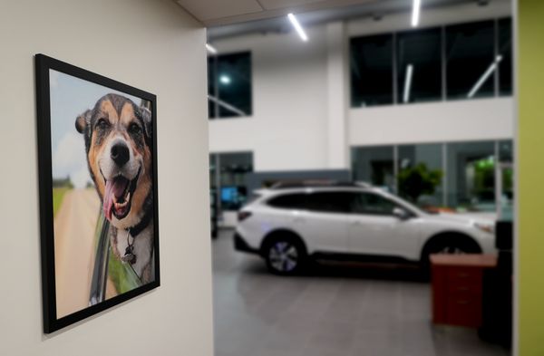 HELLO SUBARU OF VALENCIA - Updated October 2025 - 74 Photos & 150 ...