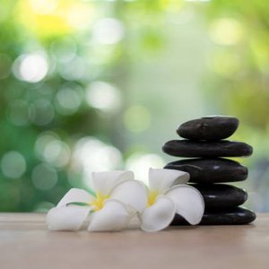 KIMOCHI SPA - 360 Ridge Rd W, Rochester, New York - Massage - Phone ...