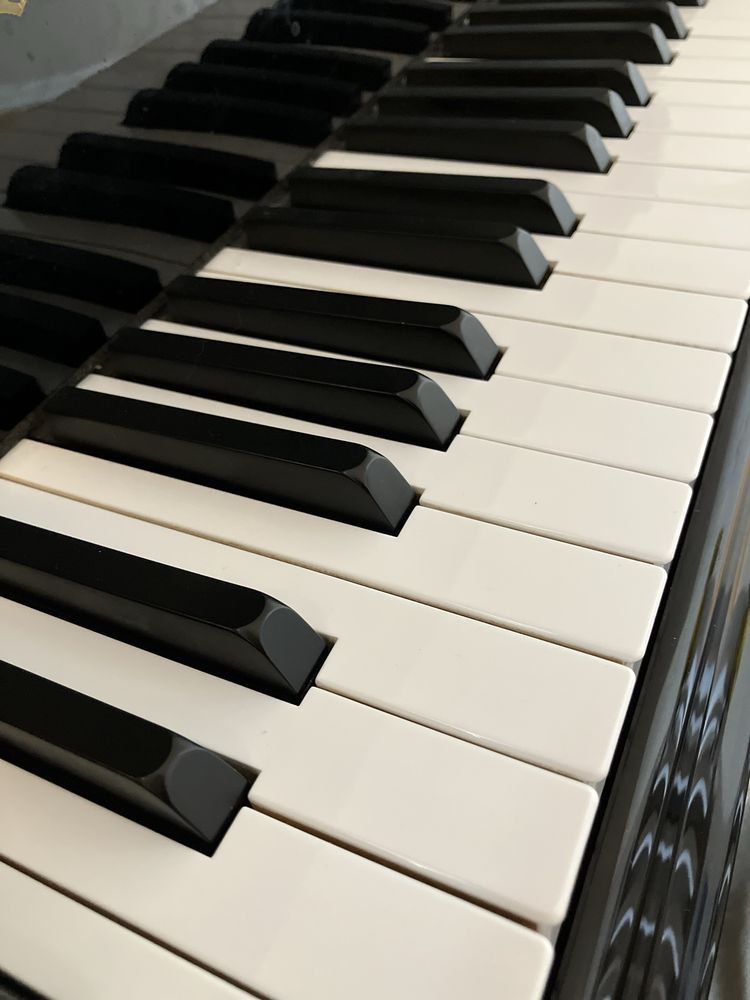 Piano Lessons by David Janssen, Renton | Roadtrippers