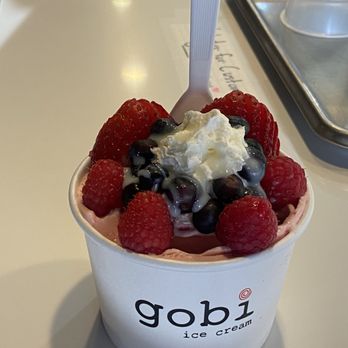 GOBI ICE CREAM - Updated January 2025 - 1066 Photos & 524 Reviews ...