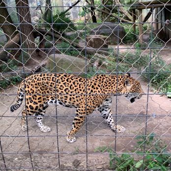 Erie Zoo - 101 Photos & 44 Reviews - Zoos - 423 W 38th St, Erie, PA ...