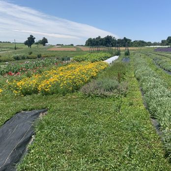 STAR BRIGHT FARM - Updated January 2026 - 21 Photos - 2950 Garrett Rd ...