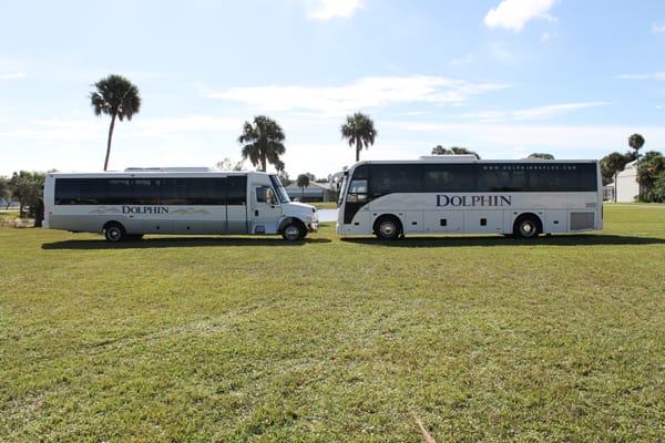 DOLPHIN TRANSPORTATION SPECIALISTS - Updated October 2025 - 21 Photos ...