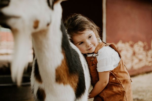 GRAND CANYON DEER FARM - 574 Photos & 259 Reviews - 6769 E Deer Farm Rd ...