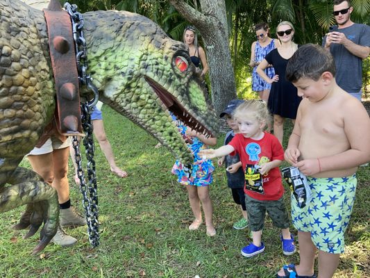 RAPTOR EVENTS FLORIDA - 45 Photos - Fort Lauderdale, Florida - Party ...