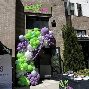BUBBLY PAWS - Updated January 2026 - 44 Photos & 24 Reviews - 141 New ...