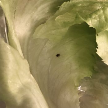 SPROUTS FARMERS MARKET - Updated March 2025 - 38 Photos & 54 Reviews ...